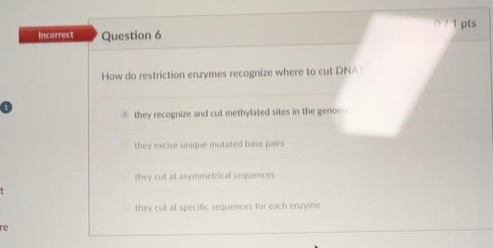 Solved A lysogenic bacteriophage can block infection by | Chegg.com