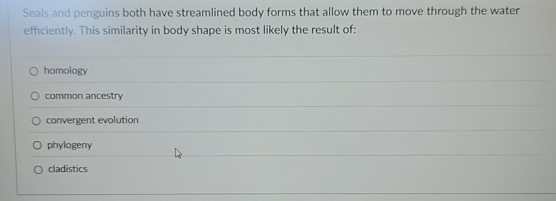 Solved Seals and penguins both have streamlined body forms | Chegg.com