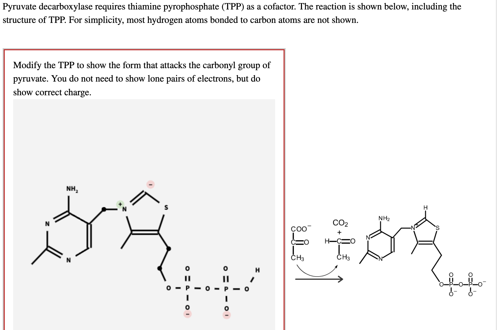 Solved Pyruvate Decarboxylase Requires Thiamine