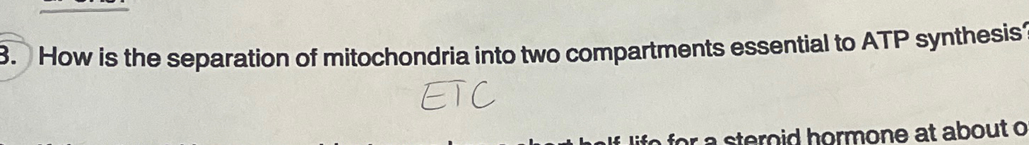 Solved How Is The Separation Of Mitochondria Into Two