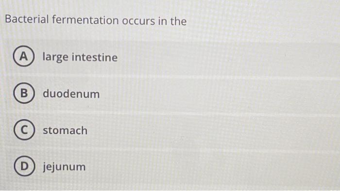 Solved When the pH of the lumen is too low, gastrin | Chegg.com