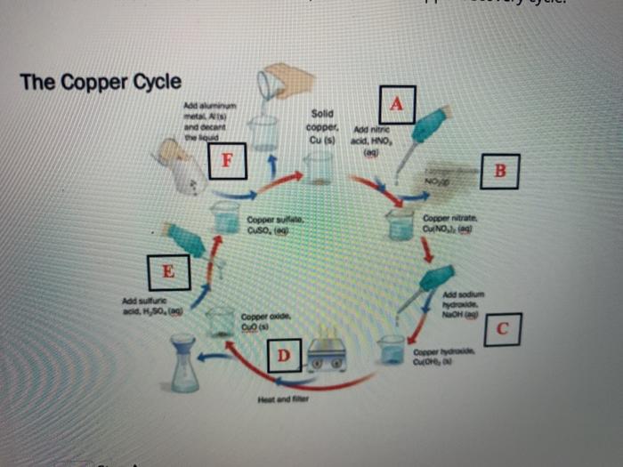 Solved Matching the reaction types in each step (A-F) of the | Chegg.com