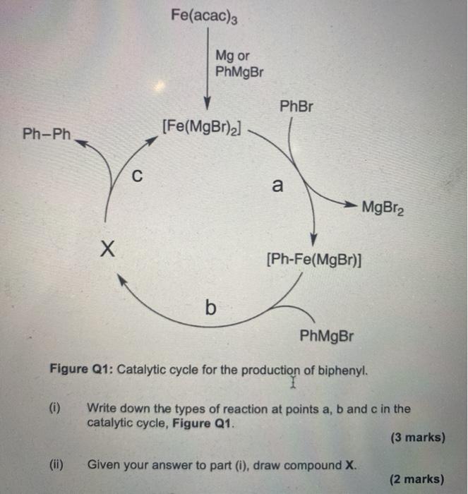 Solved Fe(acac)3 Mg or PhMgBr PhBr Ph-Ph. [Fe(MgBr)2] С a | Chegg.com