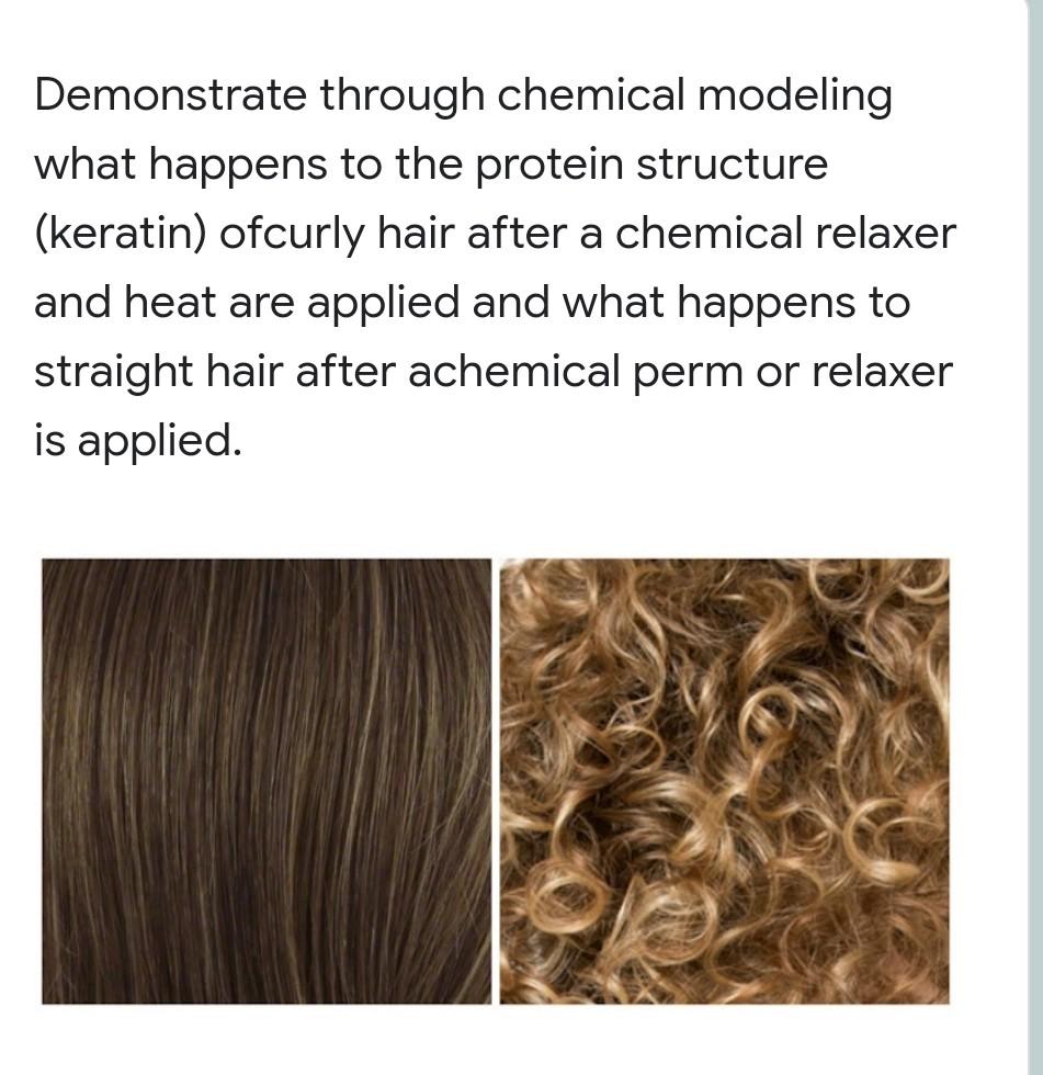 Solved Demonstrate through chemical modeling what happens to | Chegg.com