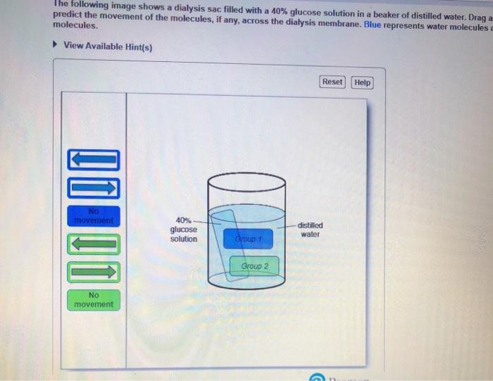 Solved Part C - Permeability of Dialysis Membranes Sort the | Chegg.com