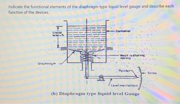 Solved Indicate the functional elements of the diaphragm | Chegg.com