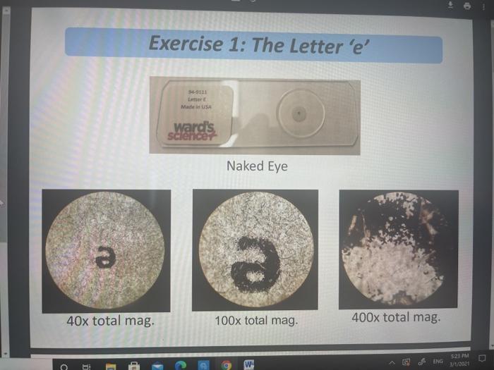 Solved 0 Exercise 1: The Letter 'e' Made ward's Science | Chegg.com