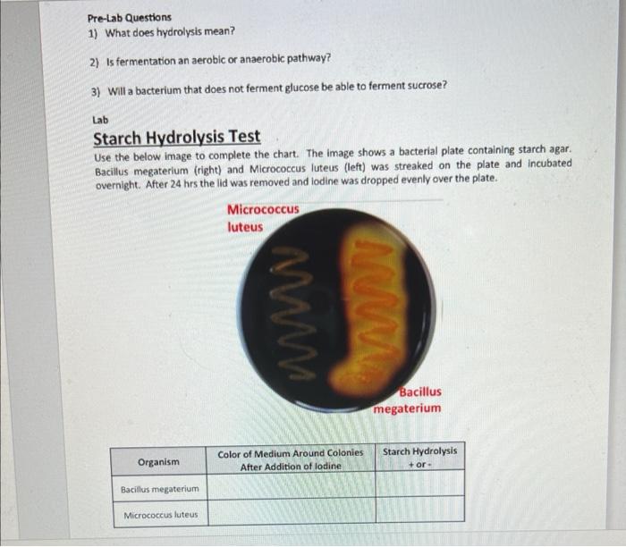 Pre-Lab Questions 1) What does hydrolysis mean? 2) Is | Chegg.com