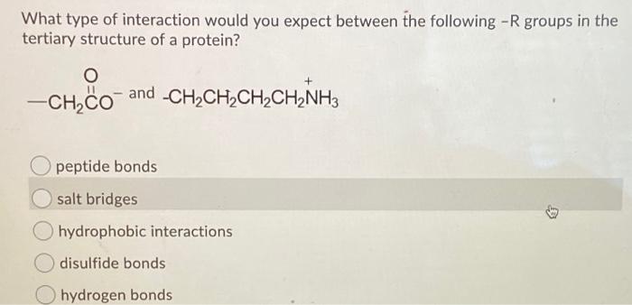 Solved What type of interaction would you expect between the | Chegg.com