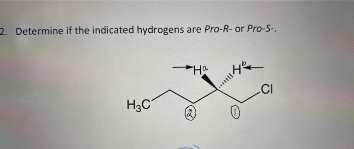 Solved Determine if the indicated hydrogens are Pro- R - or | Chegg.com