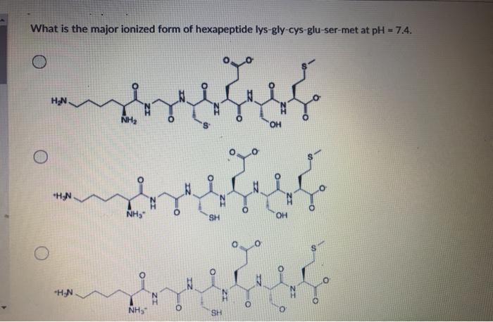 Solved What is the major ionized form of hexapeptide | Chegg.com