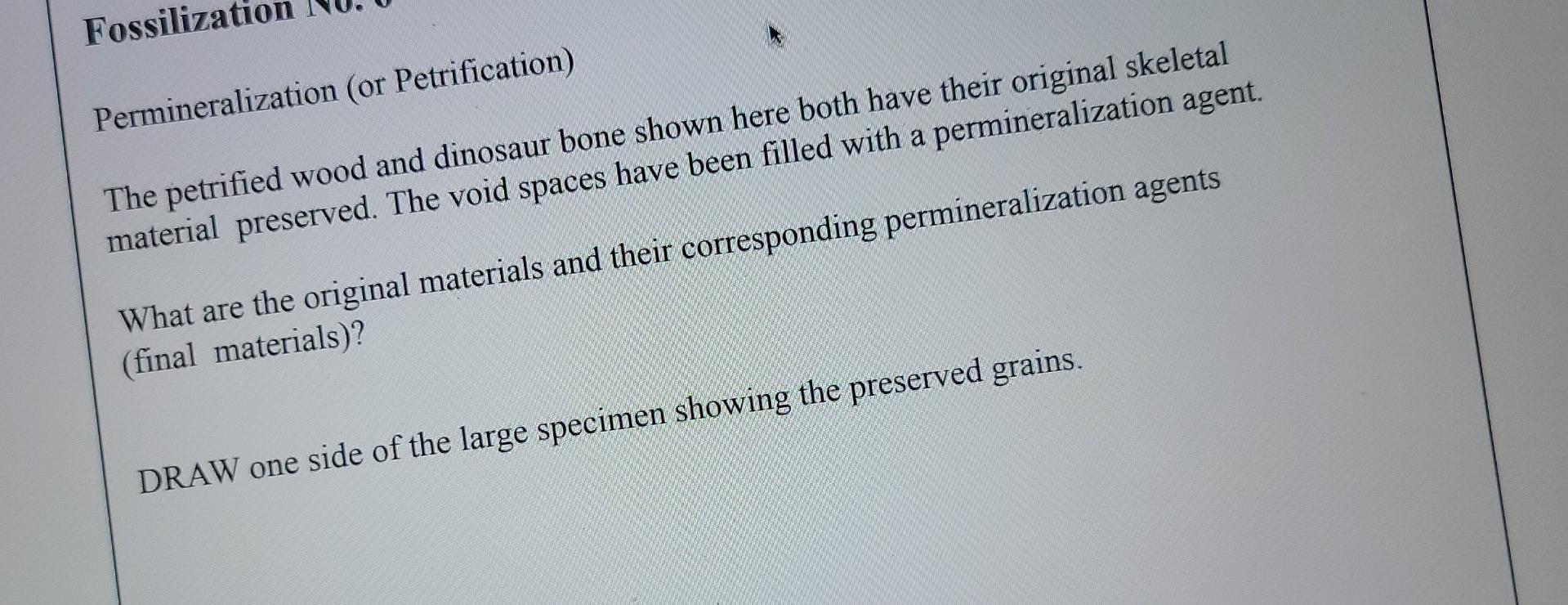 Solved Fossilizati Permineralization (or Petrification) The | Chegg.com