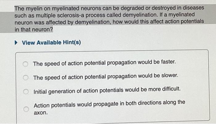 Solved The myelin on myelinated neurons can be degraded or | Chegg.com