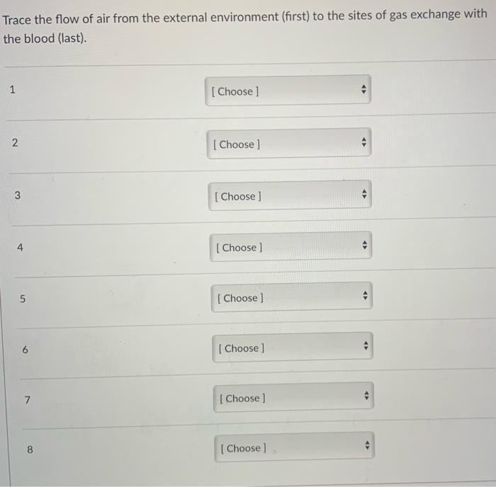 Solved Trace the flow of air from the external environment | Chegg.com