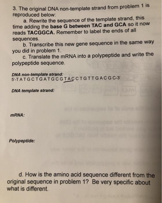 Solved 3. The original DNA non-template strand from problem | Chegg.com
