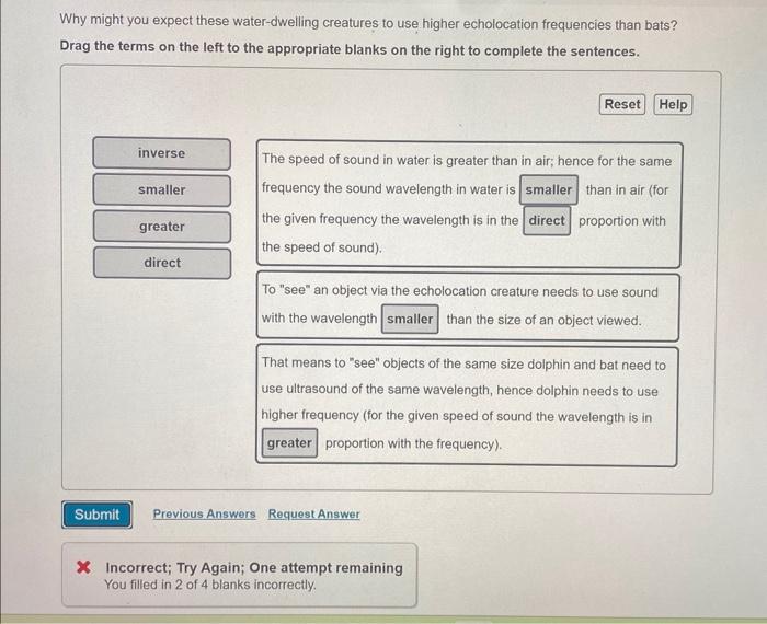 Solved Bottlenose dolphins (Figure 1) use echolocation | Chegg.com