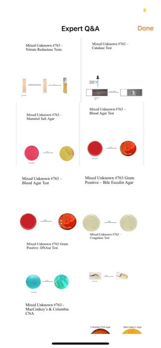 Solved Mixed Unknown Identification Form Unknown 'Patient | Chegg.com