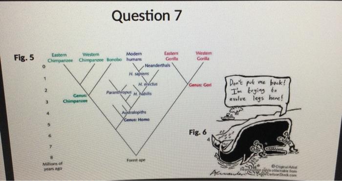 Solved The following two slides contain 6 images about | Chegg.com