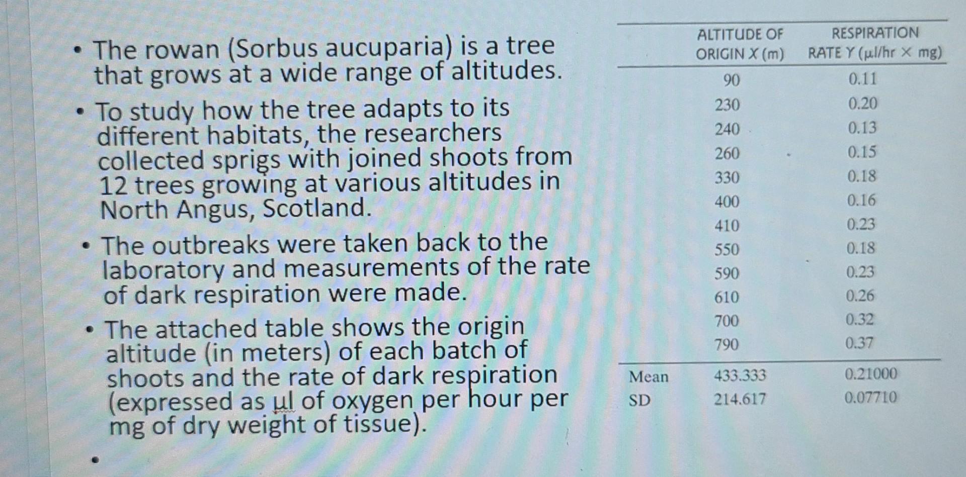 •The rowan (Sorbus aucuparia) is a tree that grows at | Chegg.com