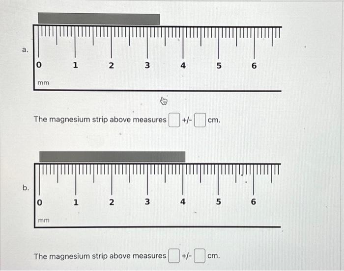 Solved Measure the strip of magnesium above each ruler. | Chegg.com