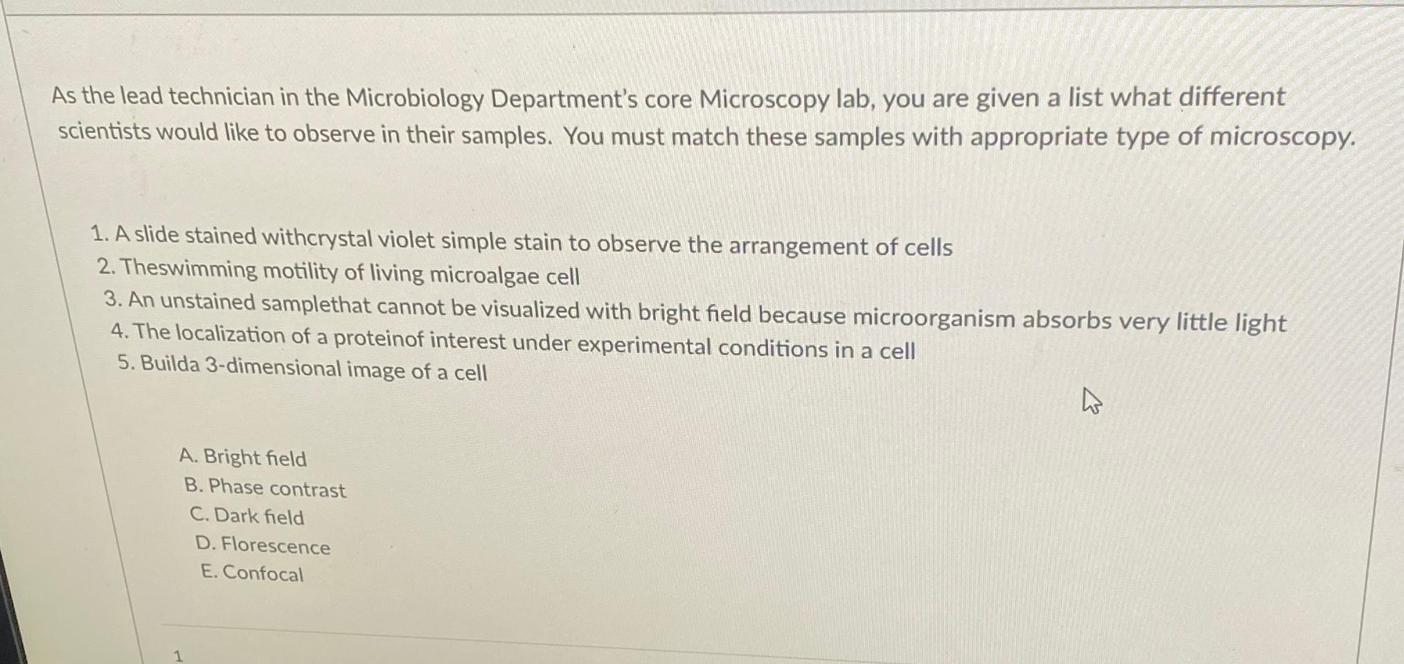 Solved As the lead technician in the Microbiology | Chegg.com