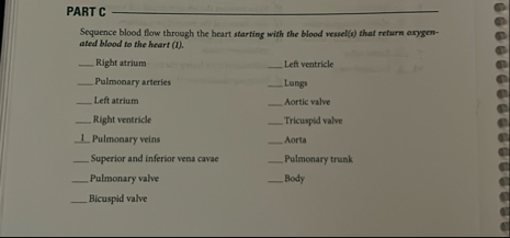 Solved PART CSequence blood flow through the heart starting | Chegg.com