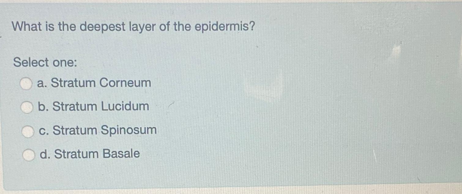 Solved What is the deepest layer of the epidermis?Select | Chegg.com