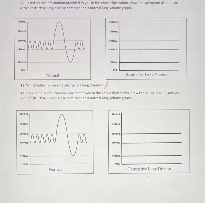 12. Based on the information provided to you in the | Chegg.com