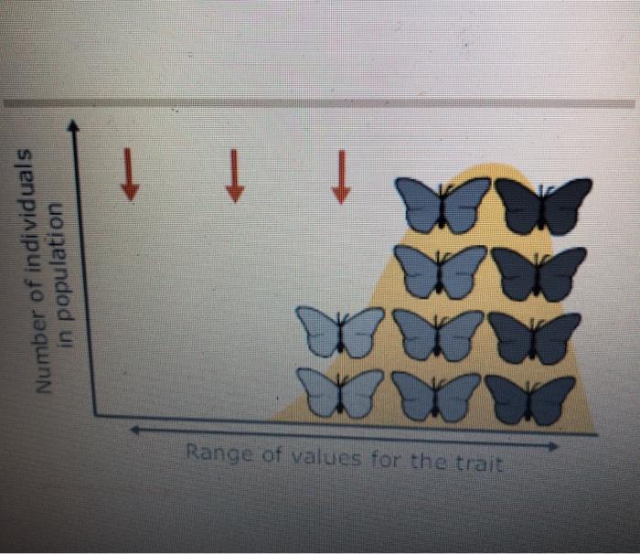 Solved This graph represents the result of one pattern of | Chegg.com
