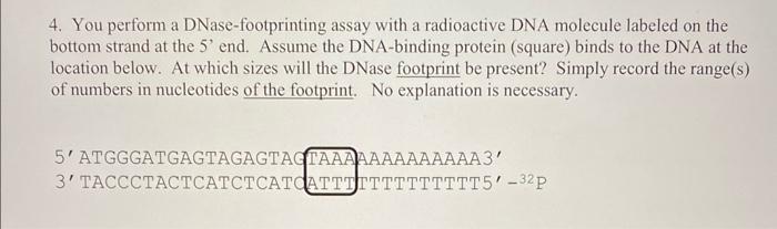 4. You perform a DNase-footprinting assay with a | Chegg.com
