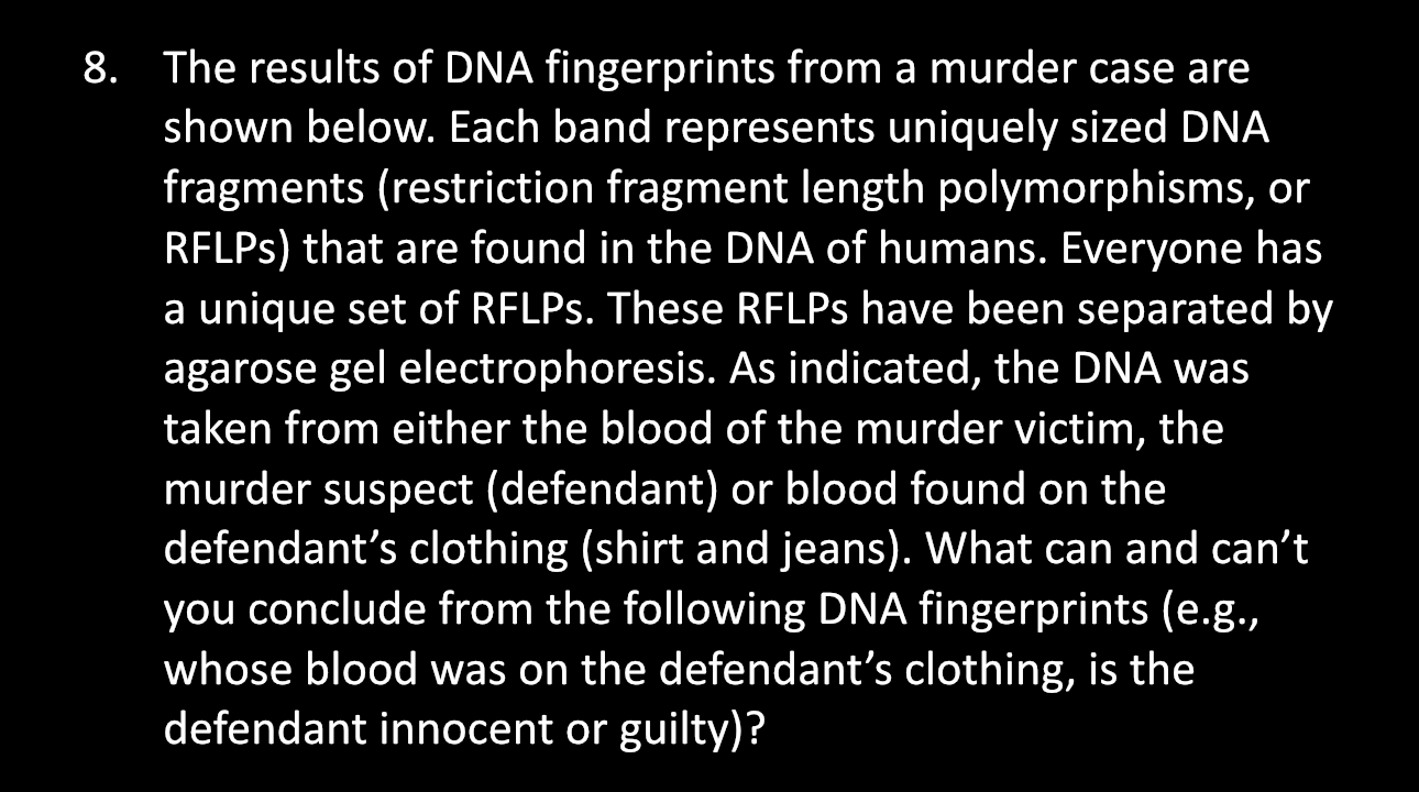 Solved The results of DNA fingerprints from a murder case | Chegg.com