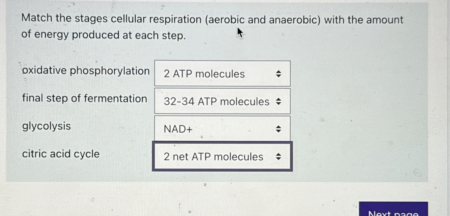 Solved Match the stages cellular respiration (aerobic and | Chegg.com