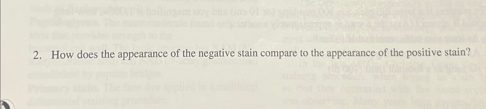 Solved How does the appearance of the negative stain compare | Chegg.com