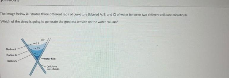 Radius 3 from the question above is most likely to | Chegg.com