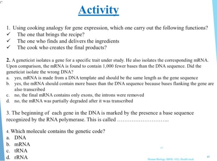 Solved Activity 1. Using cooking analogy for gene | Chegg.com