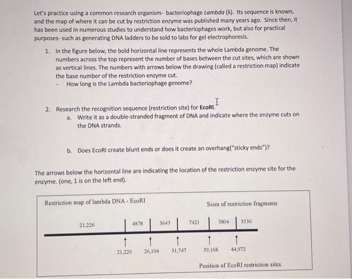 You should be able to answer these questions based on | Chegg.com