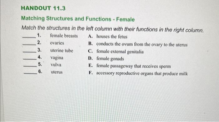 Matching Structures and Functions - Female Match the | Chegg.com
