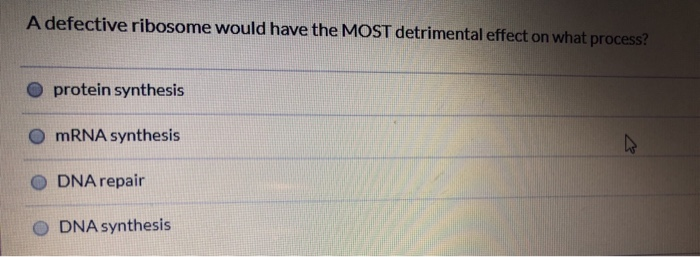 Solved A defective ribosome would have the MOST detrimental | Chegg.com