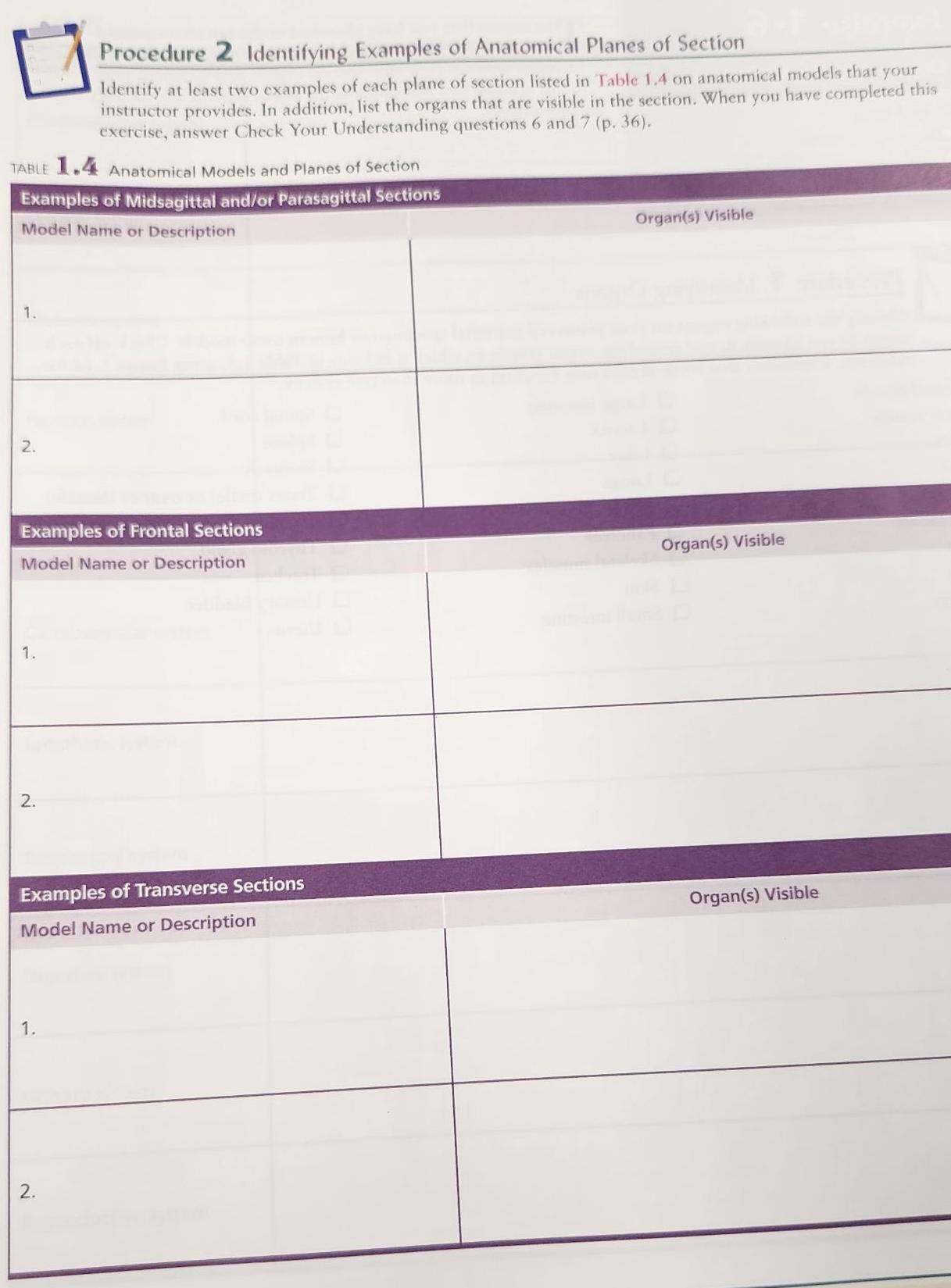 Solved Procedure 2 ﻿Identifying Examples of Anatomical | Chegg.com
