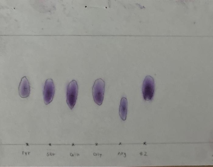 Solved Lab Report: Paper Chromatography of Amino Acids Part | Chegg.com