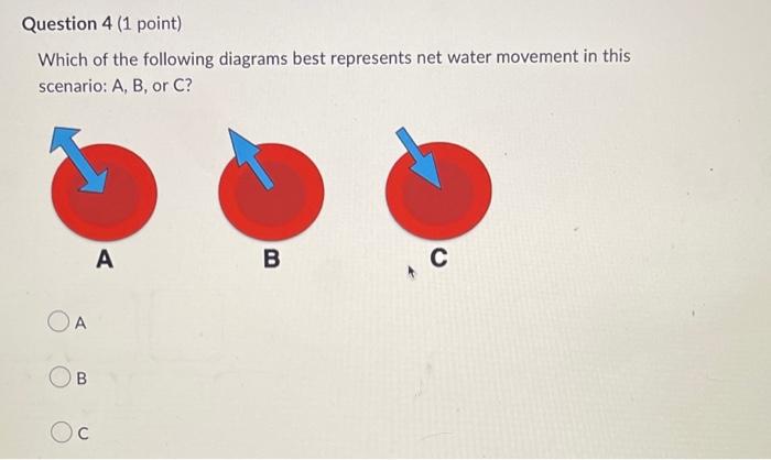 Solved Question 4 (1 point) Which of the following diagrams | Chegg.com