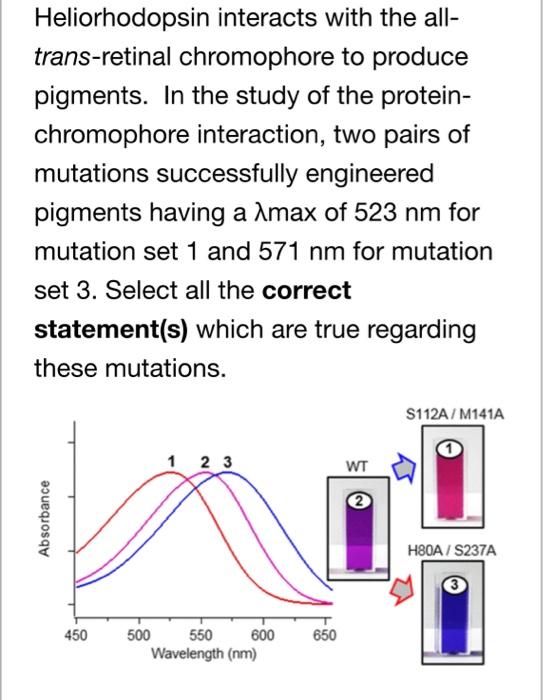 Solved Heliorhodopsin interacts with the alltrans-retinal | Chegg.com