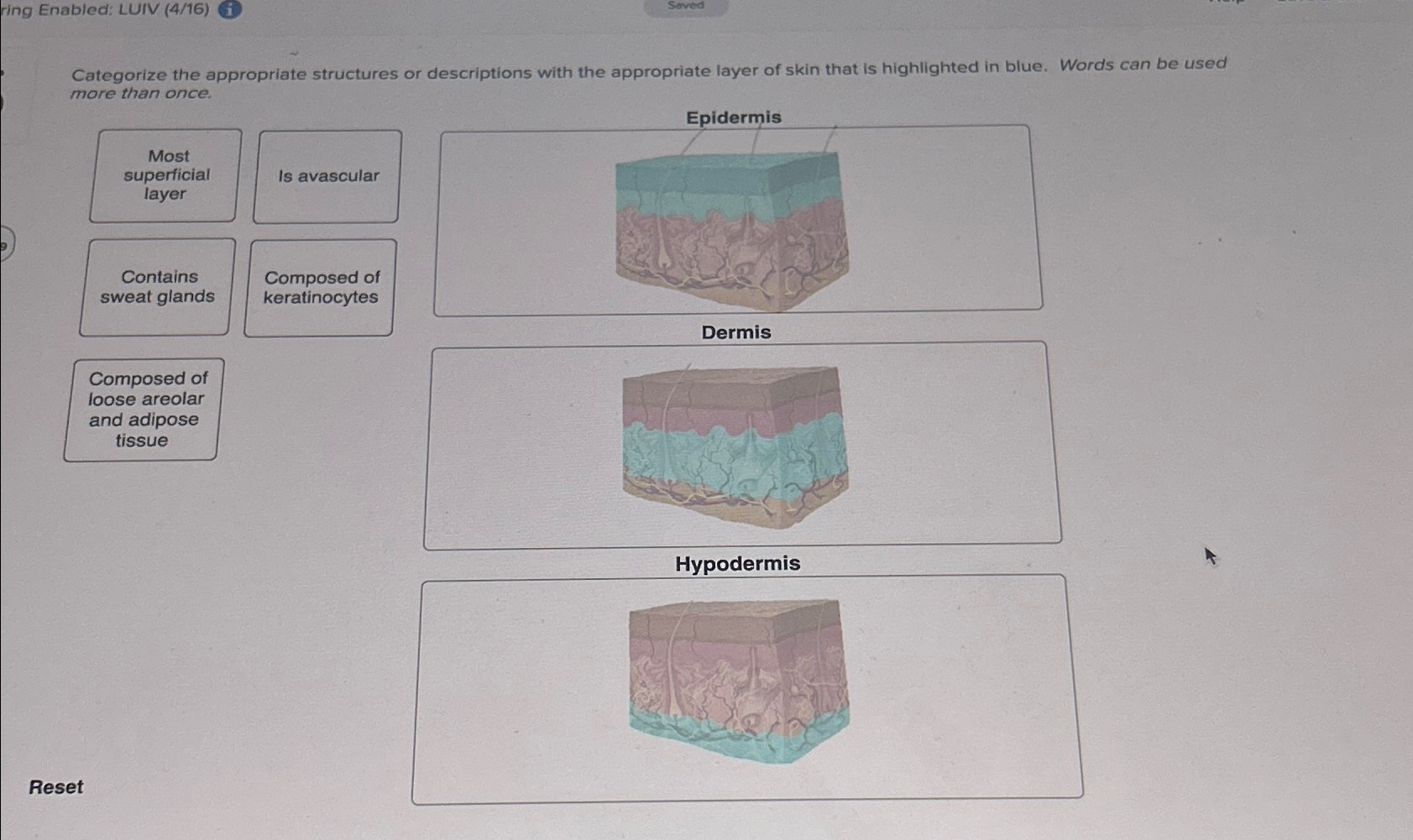 Solved ring Enabled: LUIV (4/16)SovedCategorize the | Chegg.com