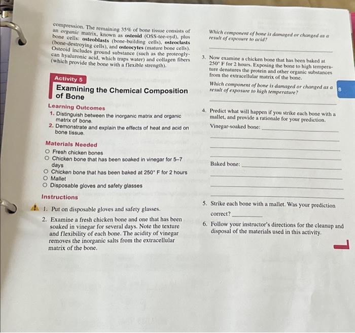 Solved Activity 5 Examining the Chemical Composition of Bone | Chegg.com