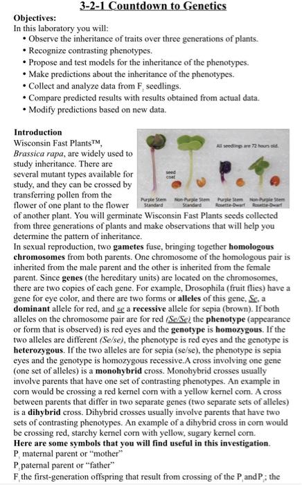 Solved 3-2-1 Countdown to Genetics Objectives: In this | Chegg.com