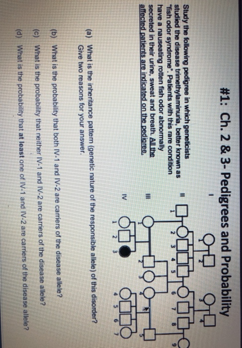 Solved #1: Ch. 2 & 3- Pedigrees and Probability 1 OTY 919 | Chegg.com