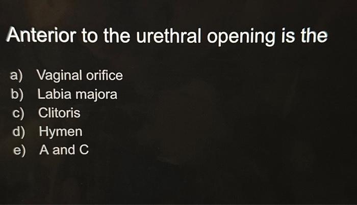 Solved Anterior to the urethral opening is the a) Vaginal | Chegg.com