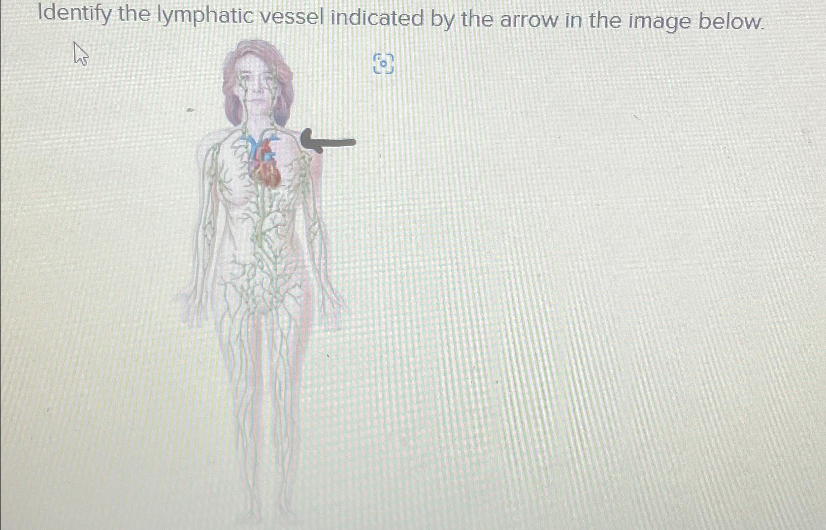 Solved Identify the lymphatic vessel indicated by the arrow | Chegg.com