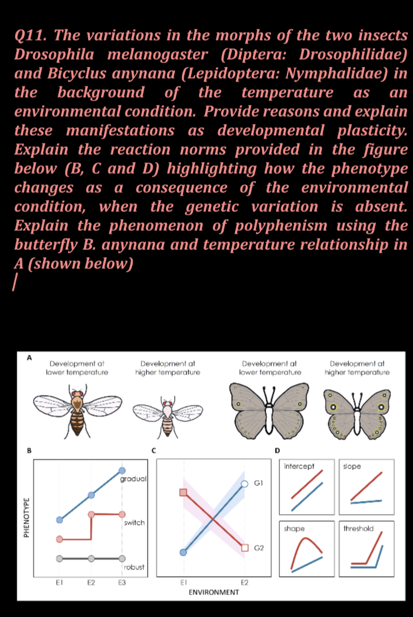 Solved Q11. ﻿The variations in the morphs of the two insects | Chegg.com