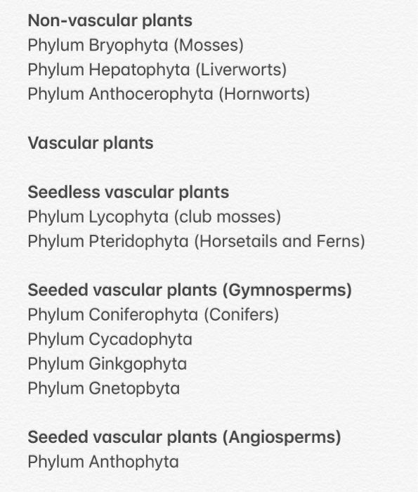 Solved Classification of plants to phylum and as vascular or | Chegg.com